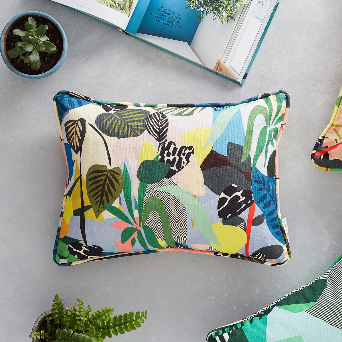 Cushions & Throws – Kitty McCall